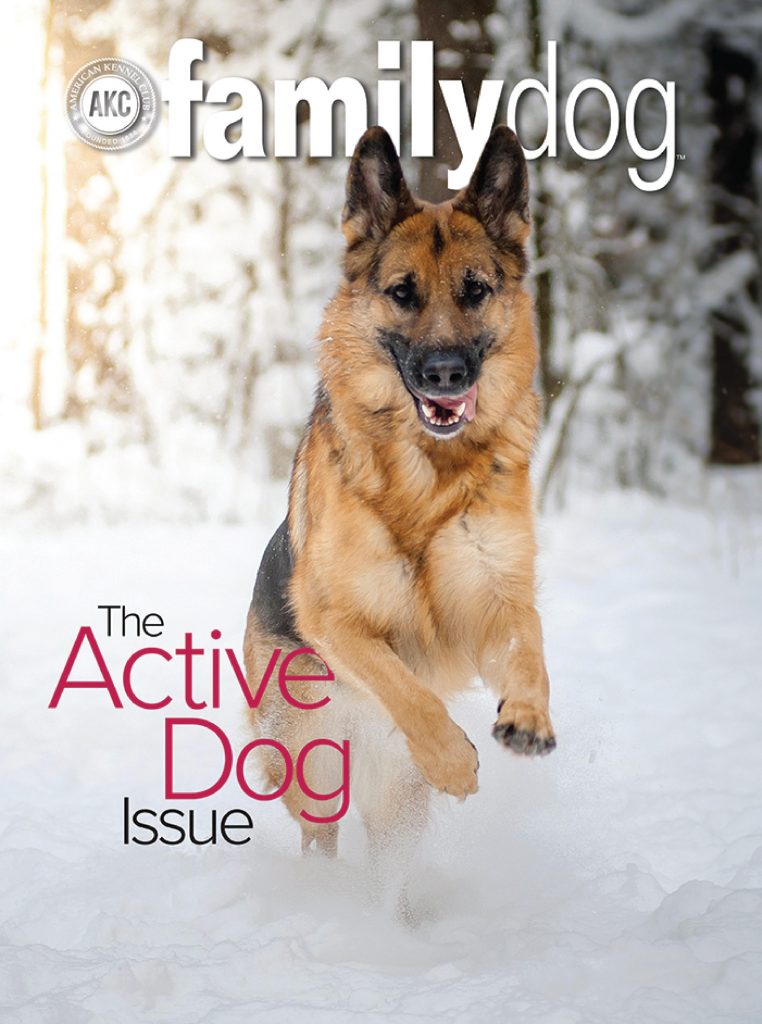 AKC Family Dog - National Ad Sales